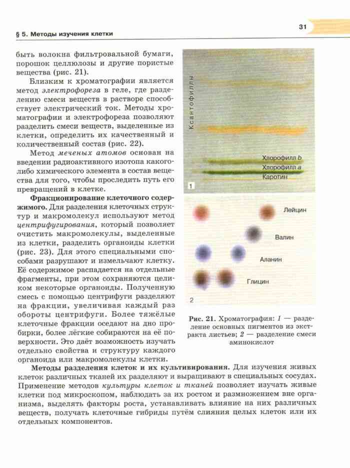 Учебник Биология 10 класс Теремов Петросова читать онлайн